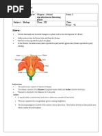 Parts of A Flower Lesson Plan | PDF | Petal | Flowers