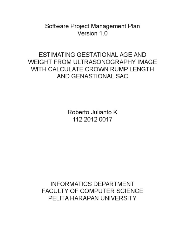 Example of SPMP | PDF | Medical Ultrasound | Ultrasound