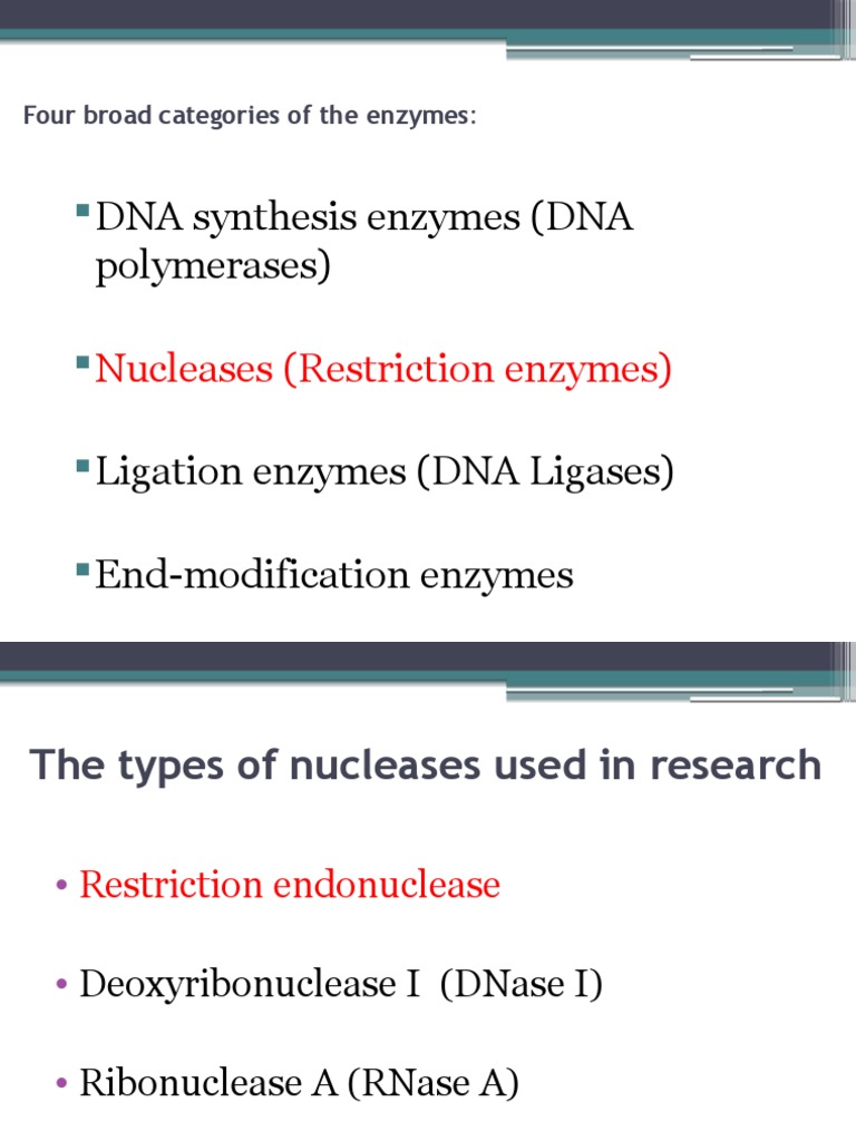 Lecture 5-Restriction Endonuclease | PDF | Restriction Enzyme | Dna