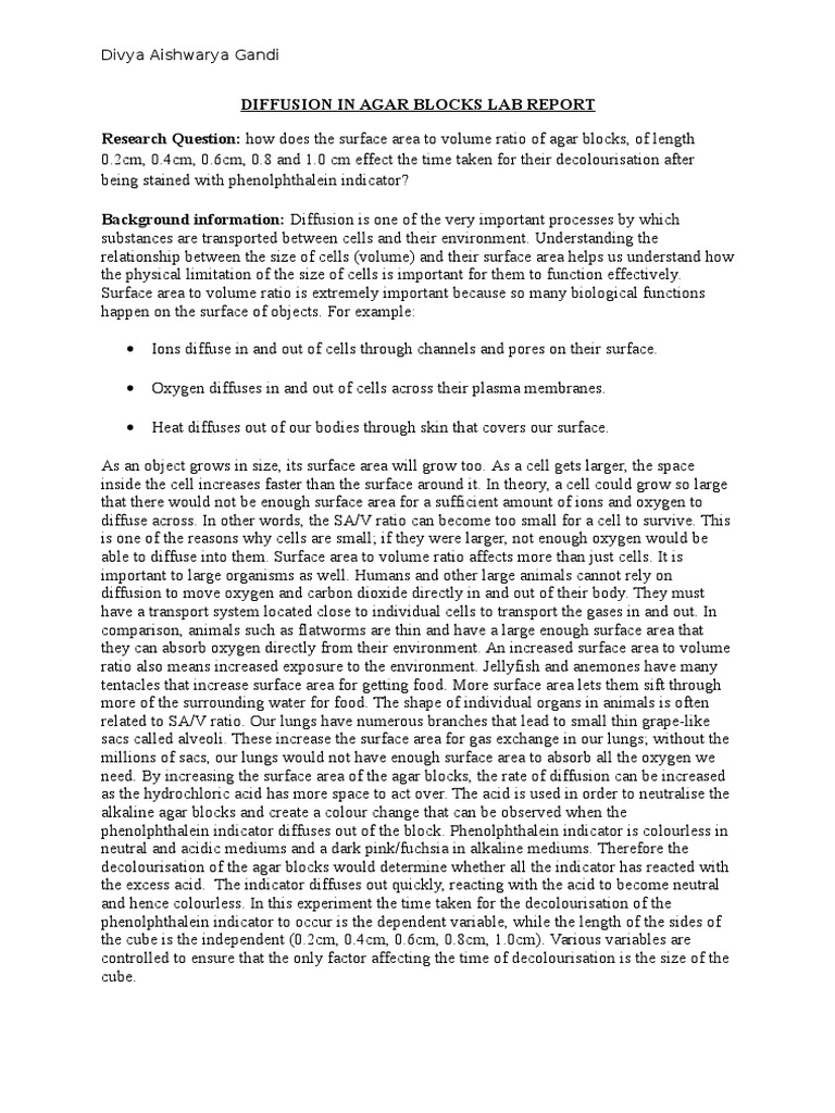 Agar Blocks Lab Report | PDF | Diffusion | Surface Area
