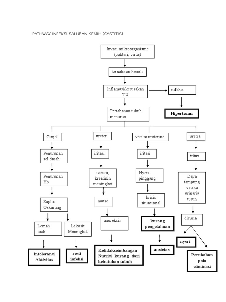 Pathway Cystitis | PDF