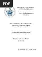 Familia Sindiásmica: Historia y Características | PDF | Familia | Sociedad