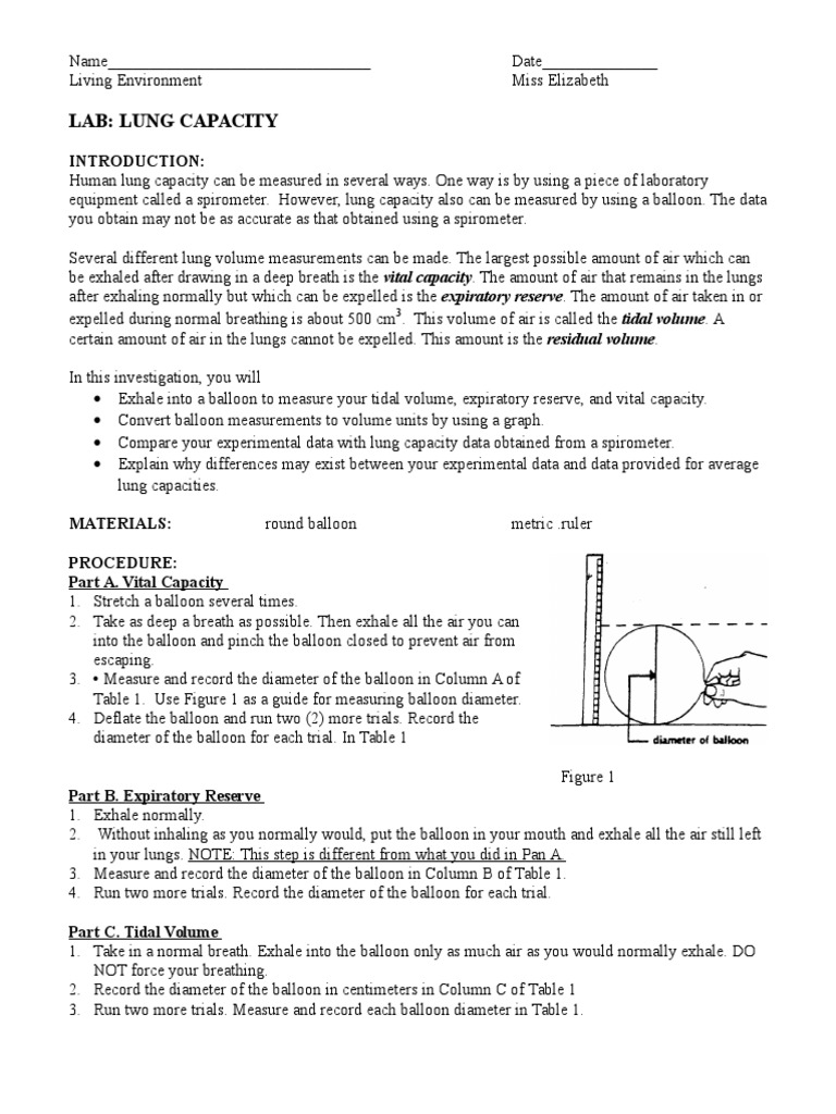 Lung Capacity Lab | PDF | Exhalation | Lung