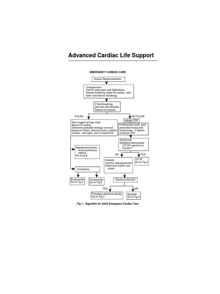 advanced-cardiac-life-support-pdf-pdf