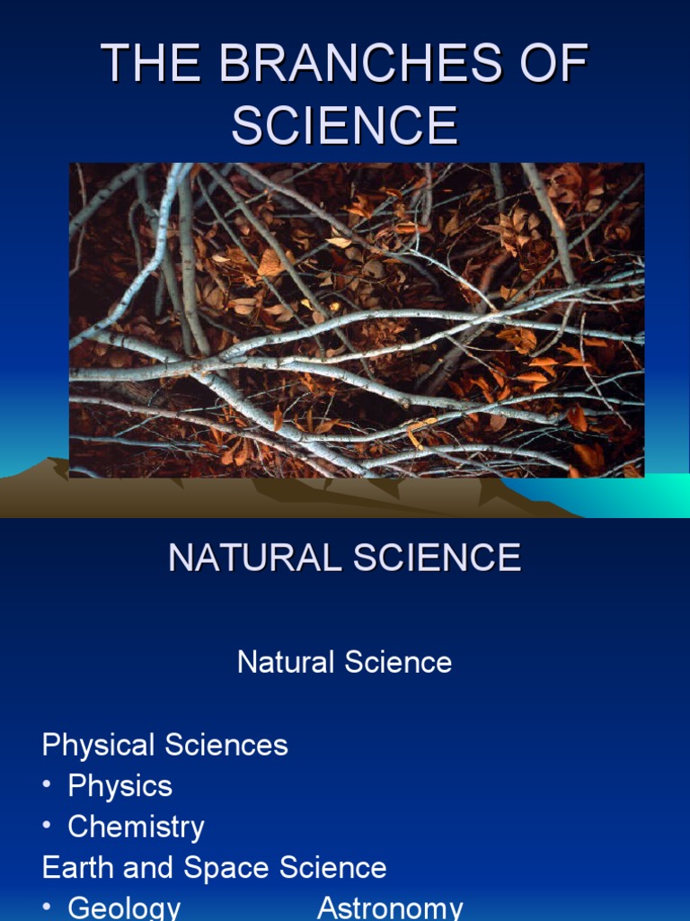 Main Branches of Science Mind Map | PDF | Technology & Engineering