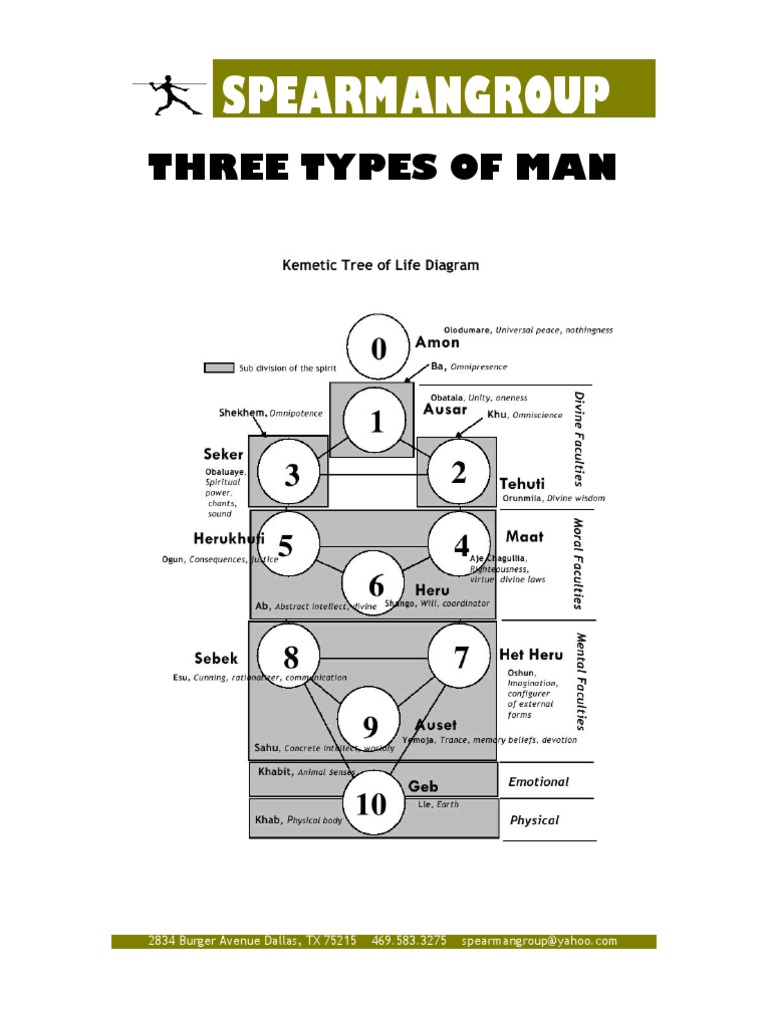 Three Types of Man Explained | PDF | Consciousness | Mind