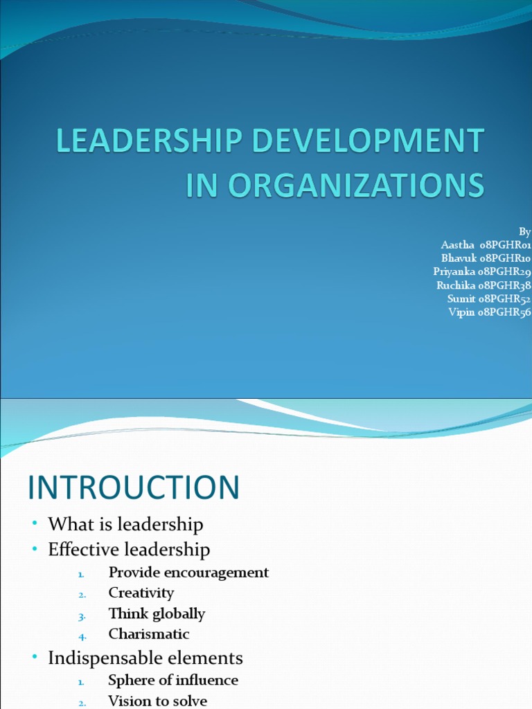 Leadership Development Program | PDF | Leadership | Expert