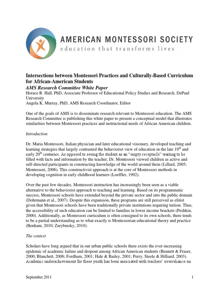 Montessori and Needs of African American Students | PDF | Montessori ...