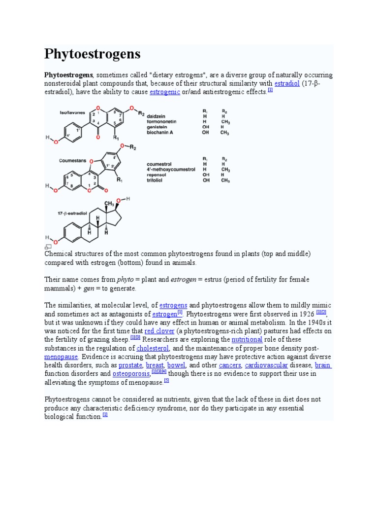 Phytoestrogens | Soybean | Food And Drink