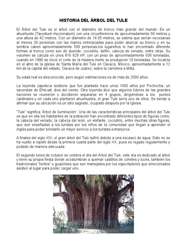 Leyenda y historia del Árbol del Tule | PDF