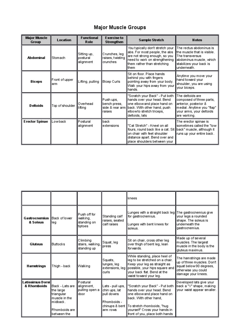 Major Muscle Groups: Major Muscle Group Location Functional Role ...