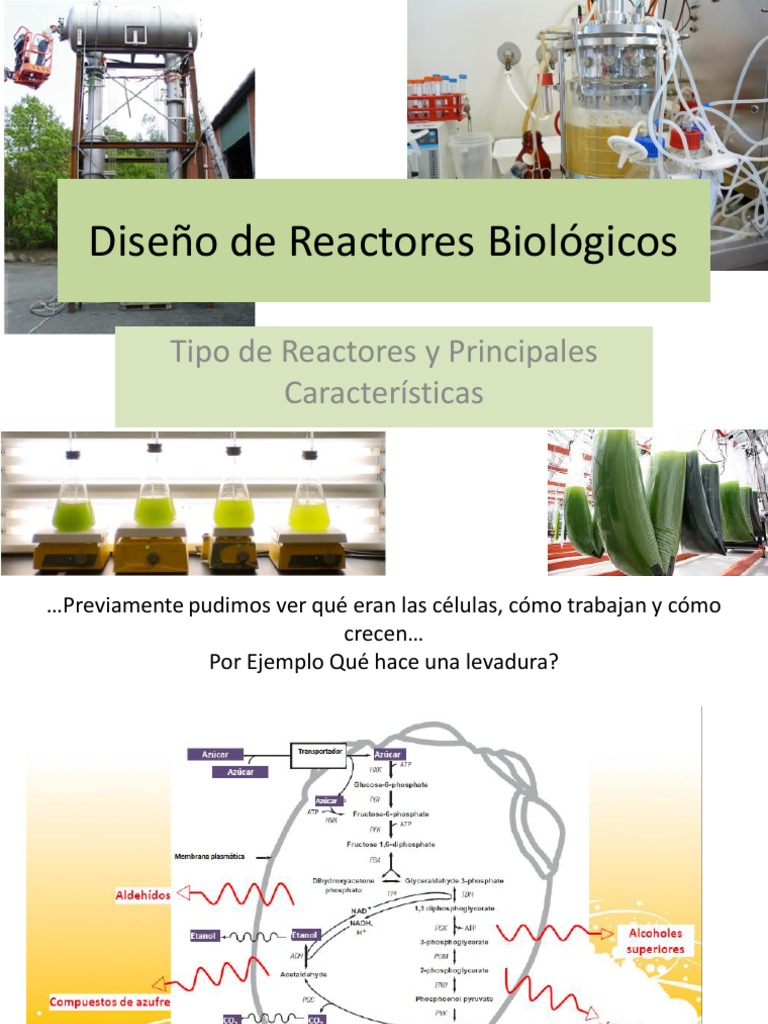 Diseño de Reactores Biológicos | PDF | Ciencias de la vida | Química