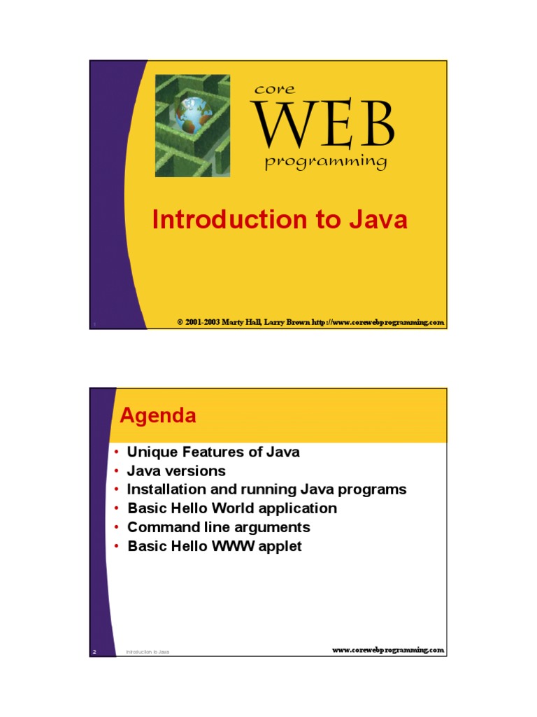 Java Introduction | PDF | Business