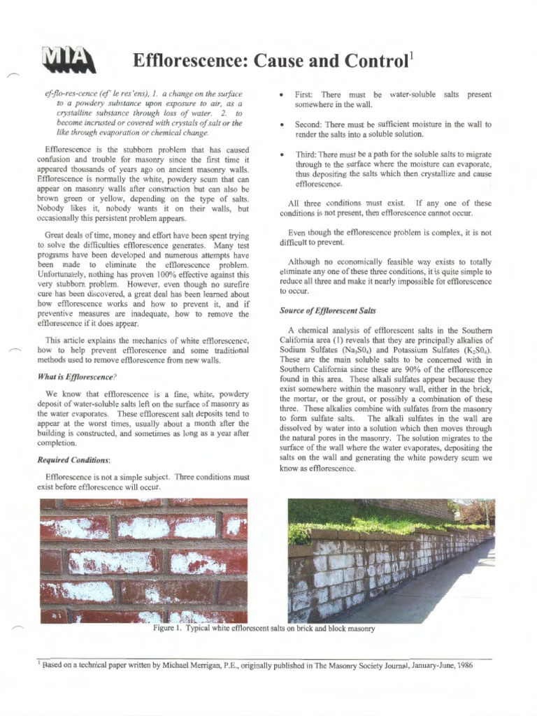 Efflorescence Effects | PDF | Masonry | Salt (Chemistry)