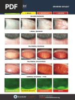 Efron Grading Scale Us Insert | PDF | Science & Mathematics
