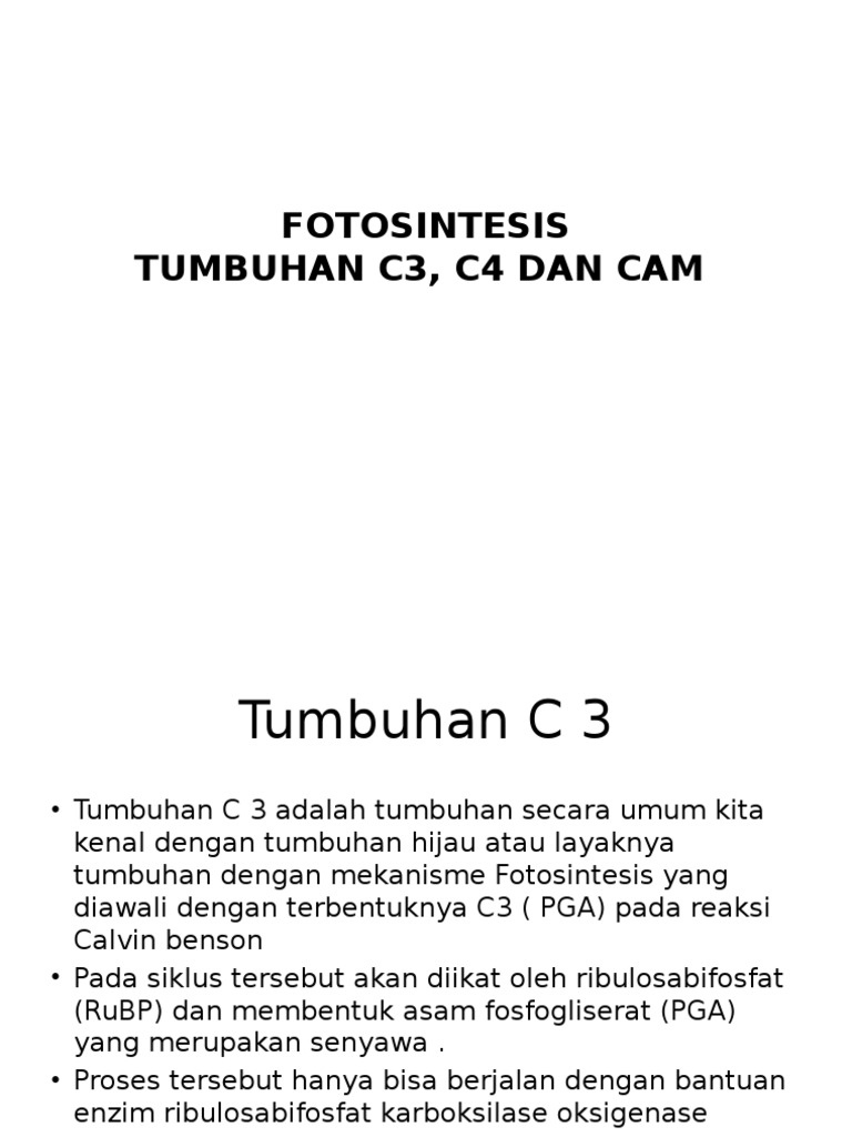 Fotosintesis c3, c4 Dan Cam | PDF
