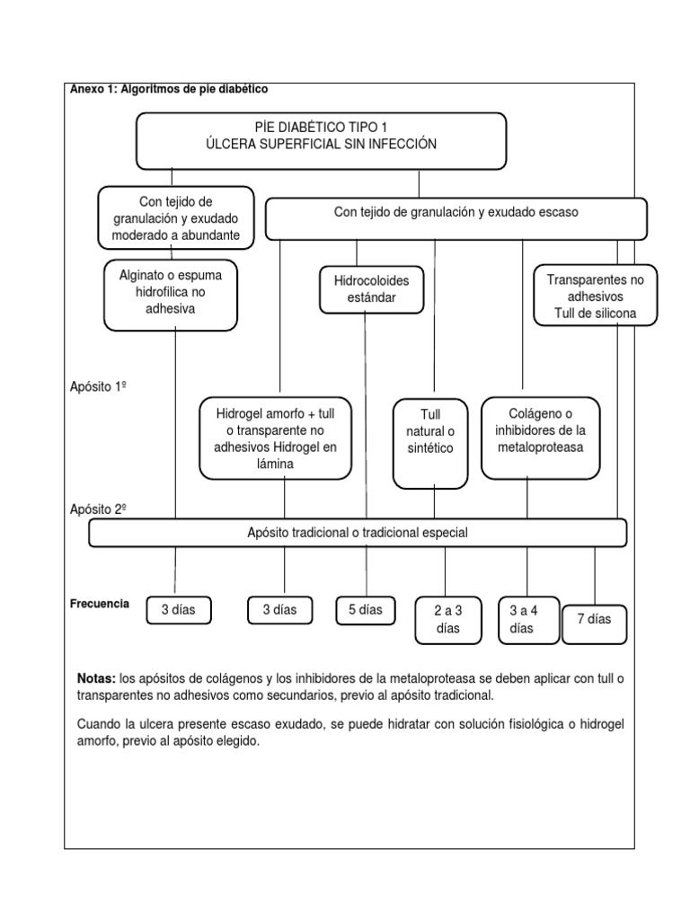 Anexo 1_ Algoritmos de Pie Diabetico | Especialidades Medicas | Medicina