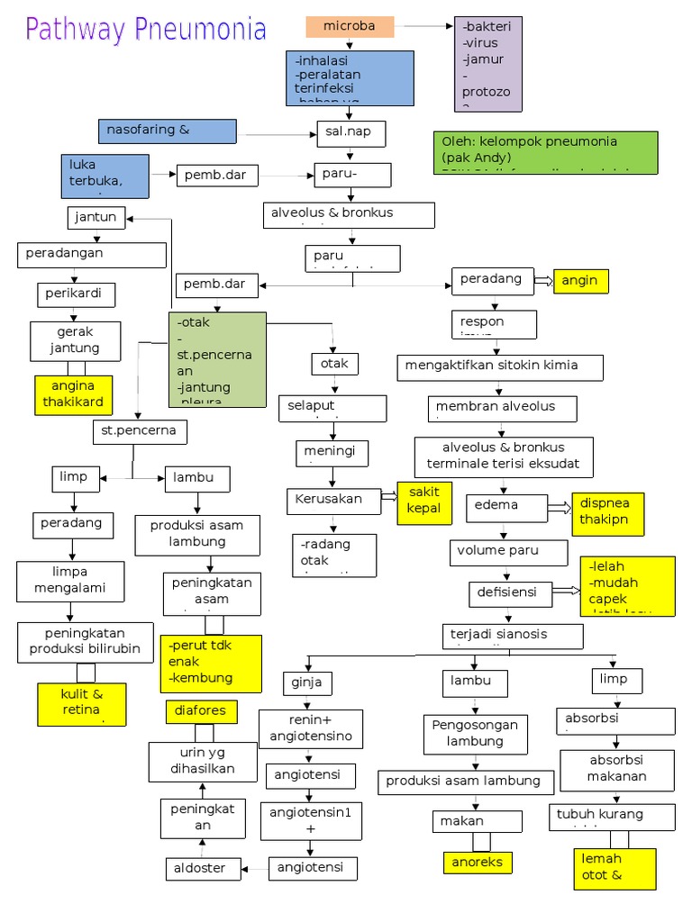 Pathway Pneumonia | PDF