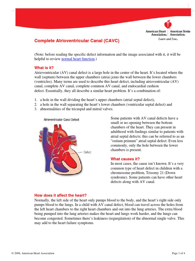 Complete Atrioventricular Canal (CAVC) | Atrium (Heart) | Heart