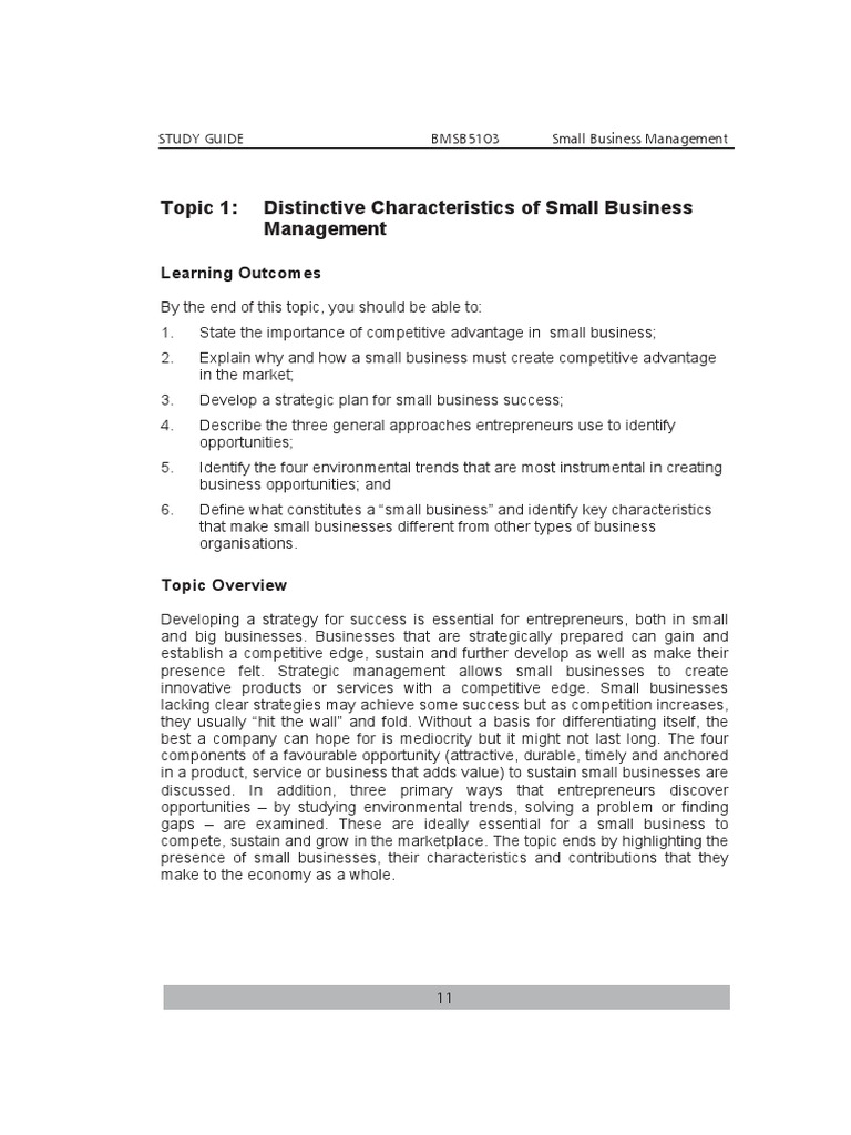 Characteristics of Small Business Success | PDF