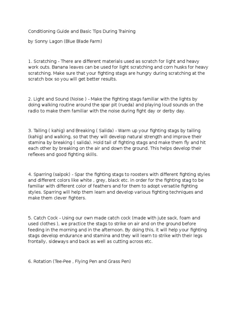 21-Day Conditioning Guide | PDF | Nature