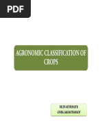 Agronomic of Field Crops, Scientific Names, List of Crops | PDF | Crops ...