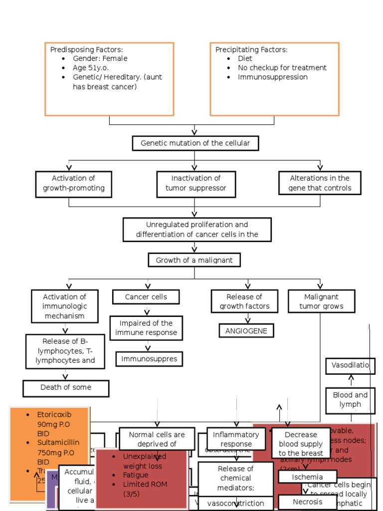 Pathophysiology For Breast Cancer | PDF | Neoplasms | Cancer
