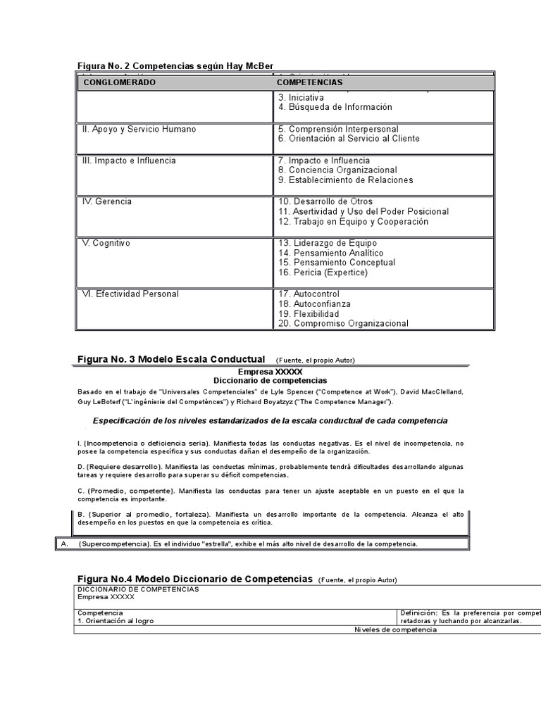 Competencias según Hay McBer | PDF | Toma de decisiones | Recursos humanos