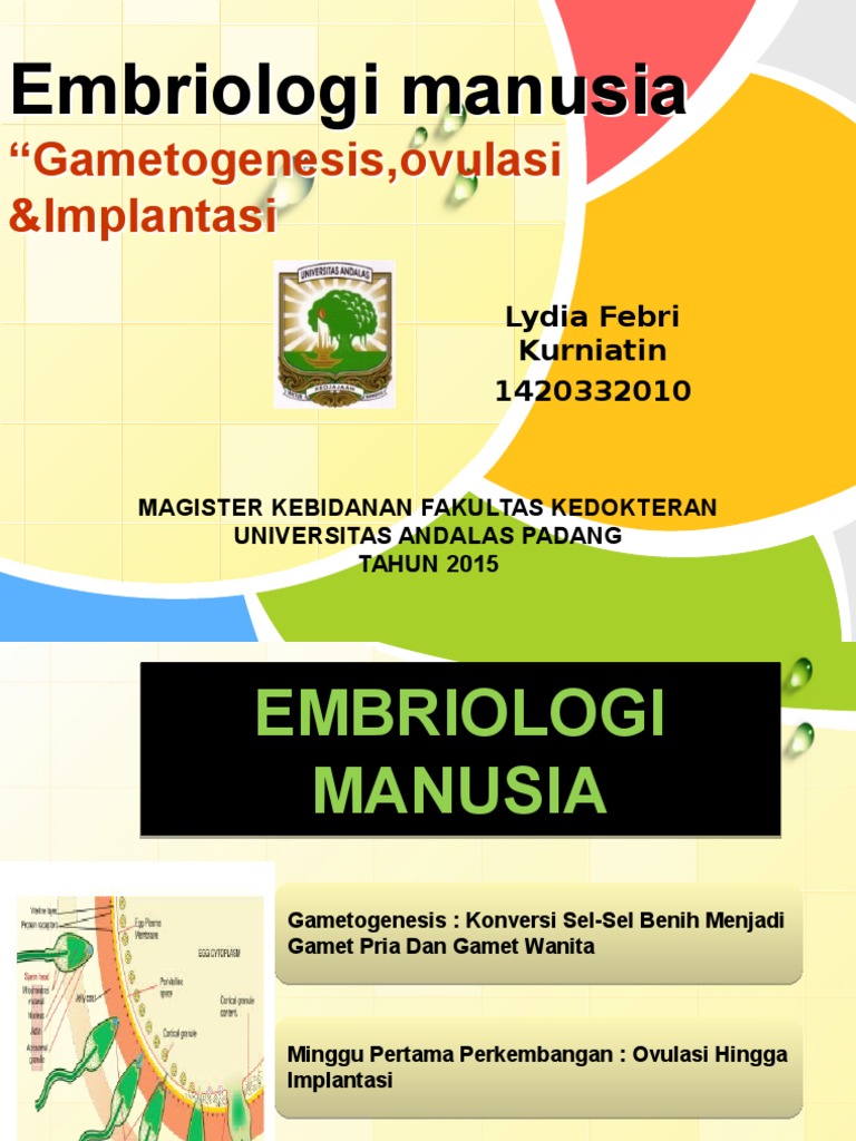 Embriologi Manusia | PDF