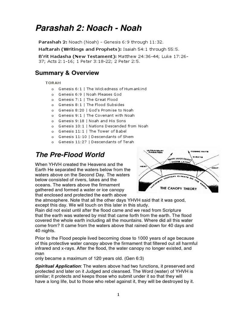 Parashah 2 - Noach | PDF | Ham (Son Of Noah) | Noach (Parsha)