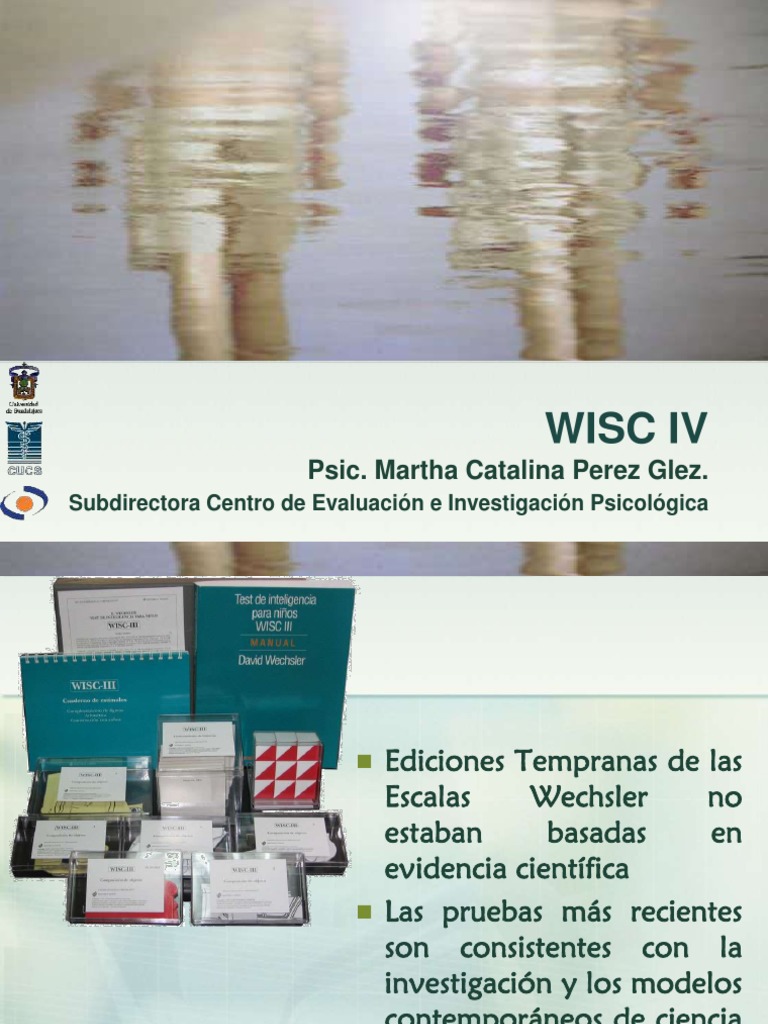 Evaluación WISC IV: Capacidades Cognitivas | PDF | Escala de ...