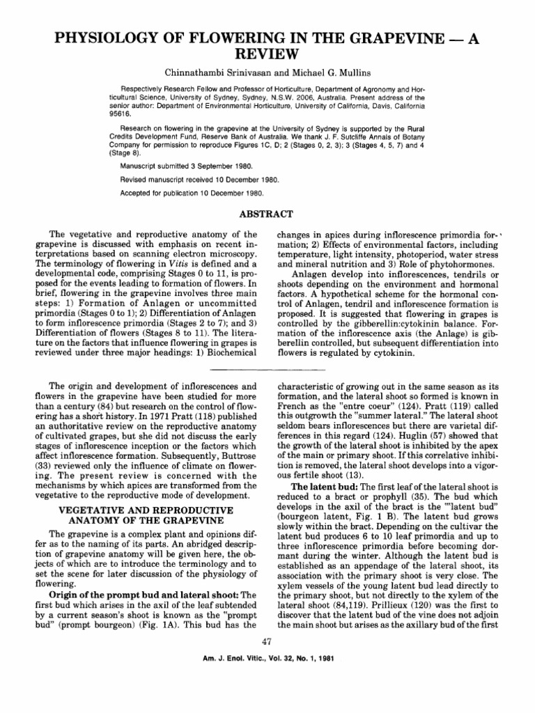 Physiology of Flowering in The Grapevine | PDF | Plant Hormone | Vitis