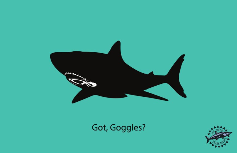 Shark Diving Ad | PDF