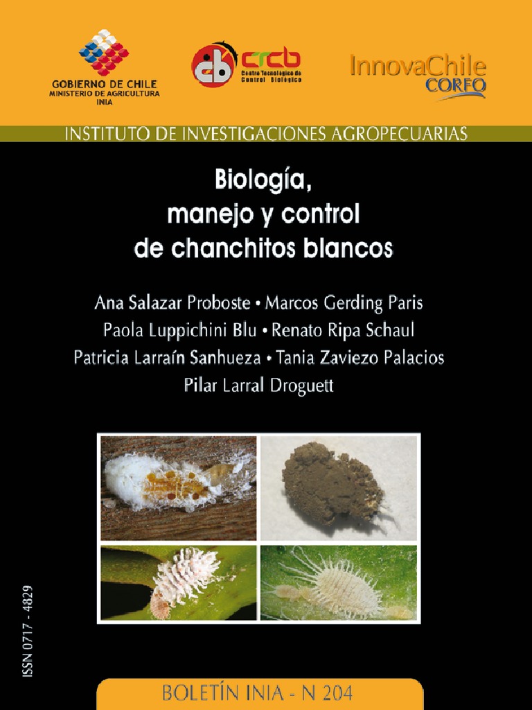 Control de Chanchitos | PDF | Hormiga | Insectos beneficiosos