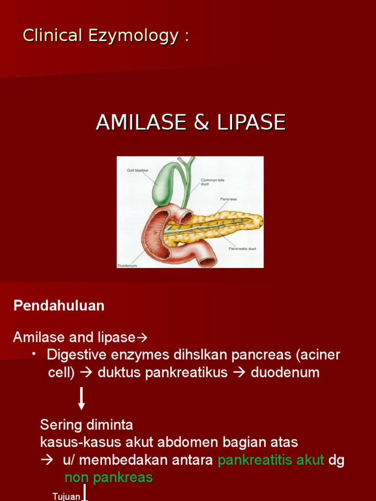 Amilase & Lipase | PDF