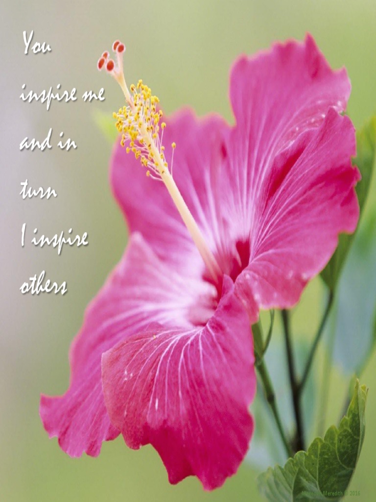 You Inspire Me | PDF