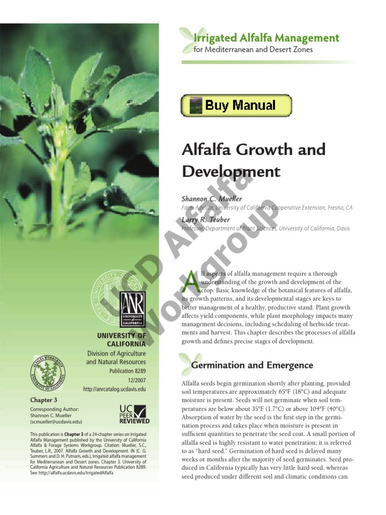 Alfalfa Growth and Development | PDF | Alfalfa | Seedling