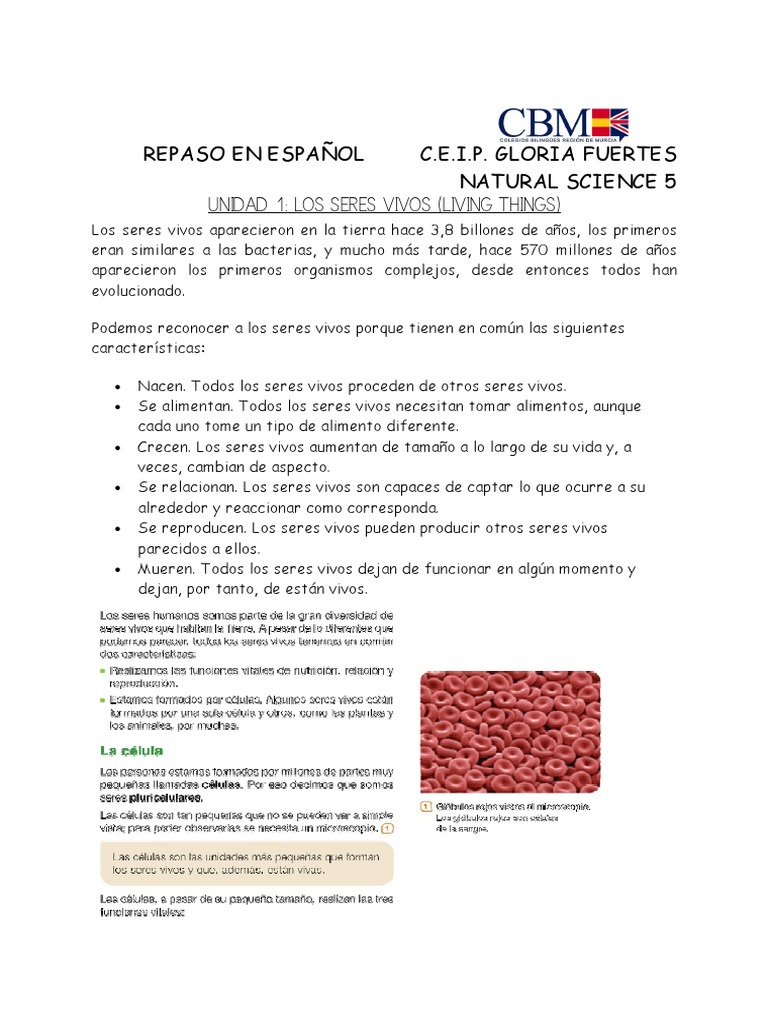Repaso en Español Unidad 1 Living Things | PDF