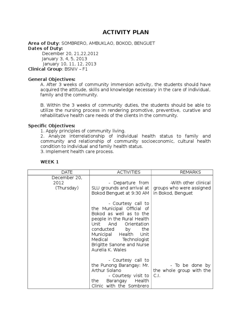 Community Activity Plan | PDF | Nursing | Medicine
