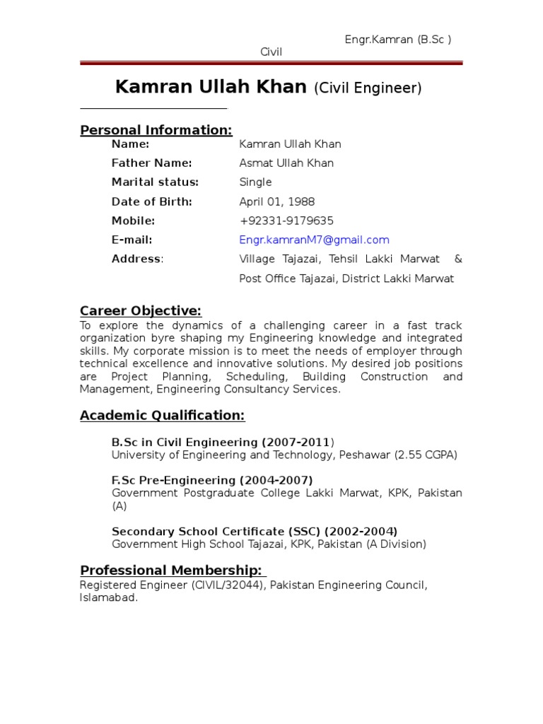 Kamran Khan CV | PDF | Drinking Water | Specification (Technical Standard)
