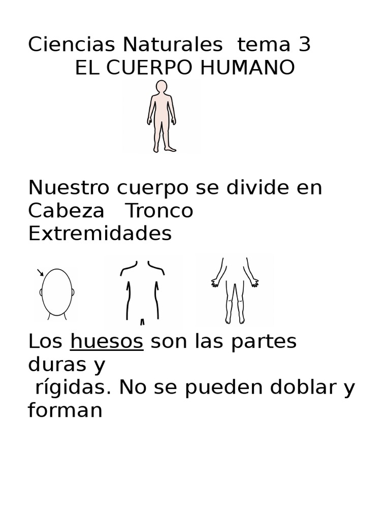 Tema 3 El Cuerpo 2º | PDF | Relaciones personales, crianza y desarrollo ...