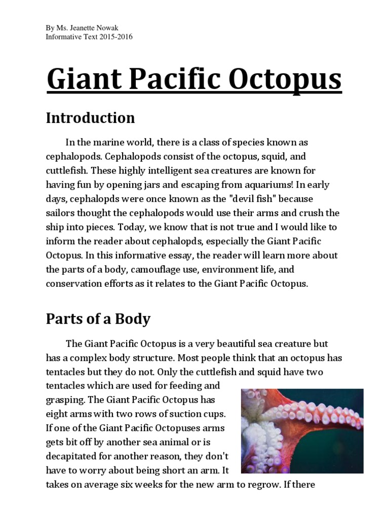 Giant Pacific Octopus Essay 1 | PDF | Octopus | Predation
