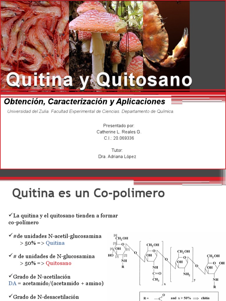 Quitina y Quitosano | PDF | Productos cosméticos | Alimentos