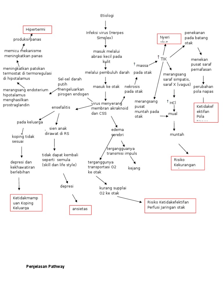 Pathway Ensefalitis FIX BINGS | PDF