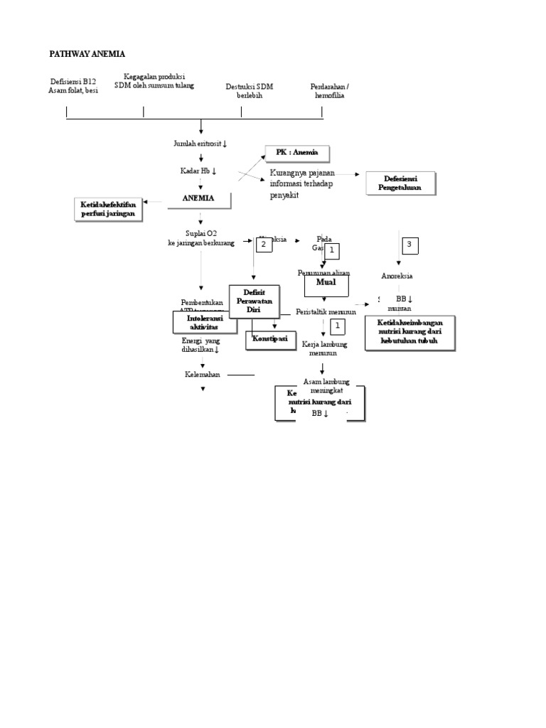 Pathway Anemia | PDF