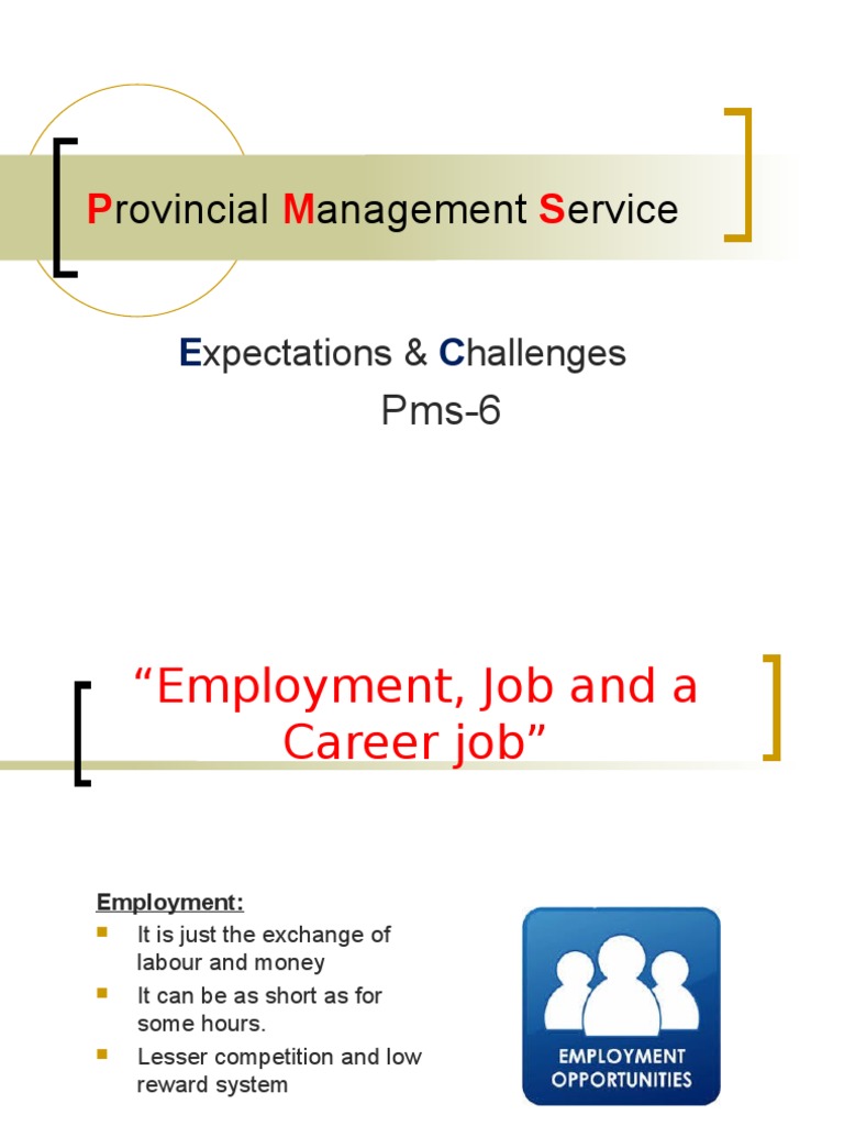 PMS Career Path and Expectations in Pakistan | PDF | Motivation ...