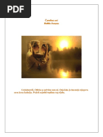 Isak Samokovlija - Nosac Samuel | PDF