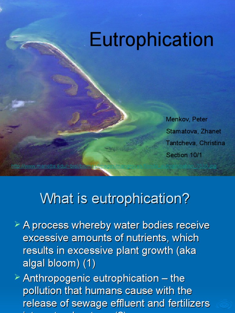 eutrophication-100621101054-phpapp01 | Eutrophication | Natural Materials