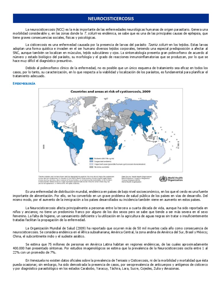 Neurocisticercosis | PDF | Especialidades Medicas | Medicina CLINICA