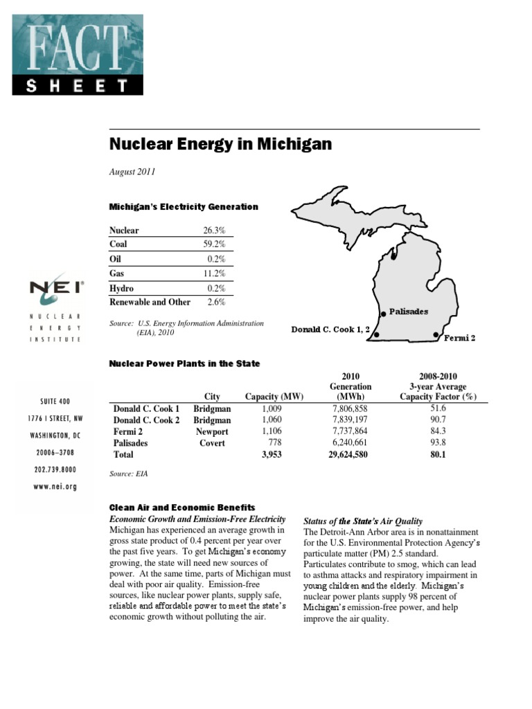 Nuclear Energy in Michigan: Michigan's Electricity Generation | PDF | N ...